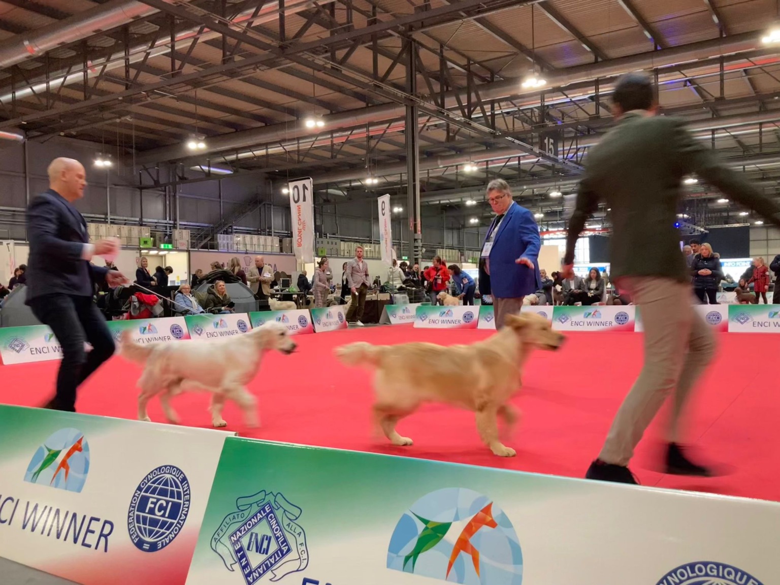 ENCI Winner prende il via a Fiera Milano - Giornale dei Navigli