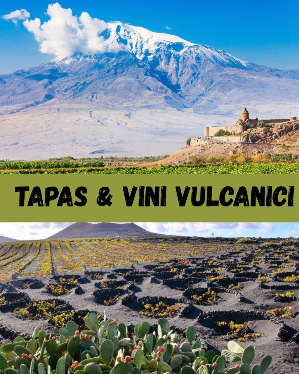 "Tapas e Terre di Fuoco", i vini vulcanici incontrano la cucina ...